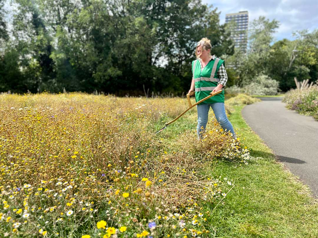 Wild Ouseburn Secures £80,000 to Rewild Newcastle’s Lower Ouseburn Valley